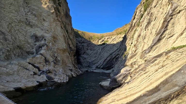 【絶景の宝庫！】海辺の岩場「三浦・岩礁のみち」を歩いてみる【三浦半島人気ウォーキングコース】 | 三浦半島ポータルマガジン(MIURA ...